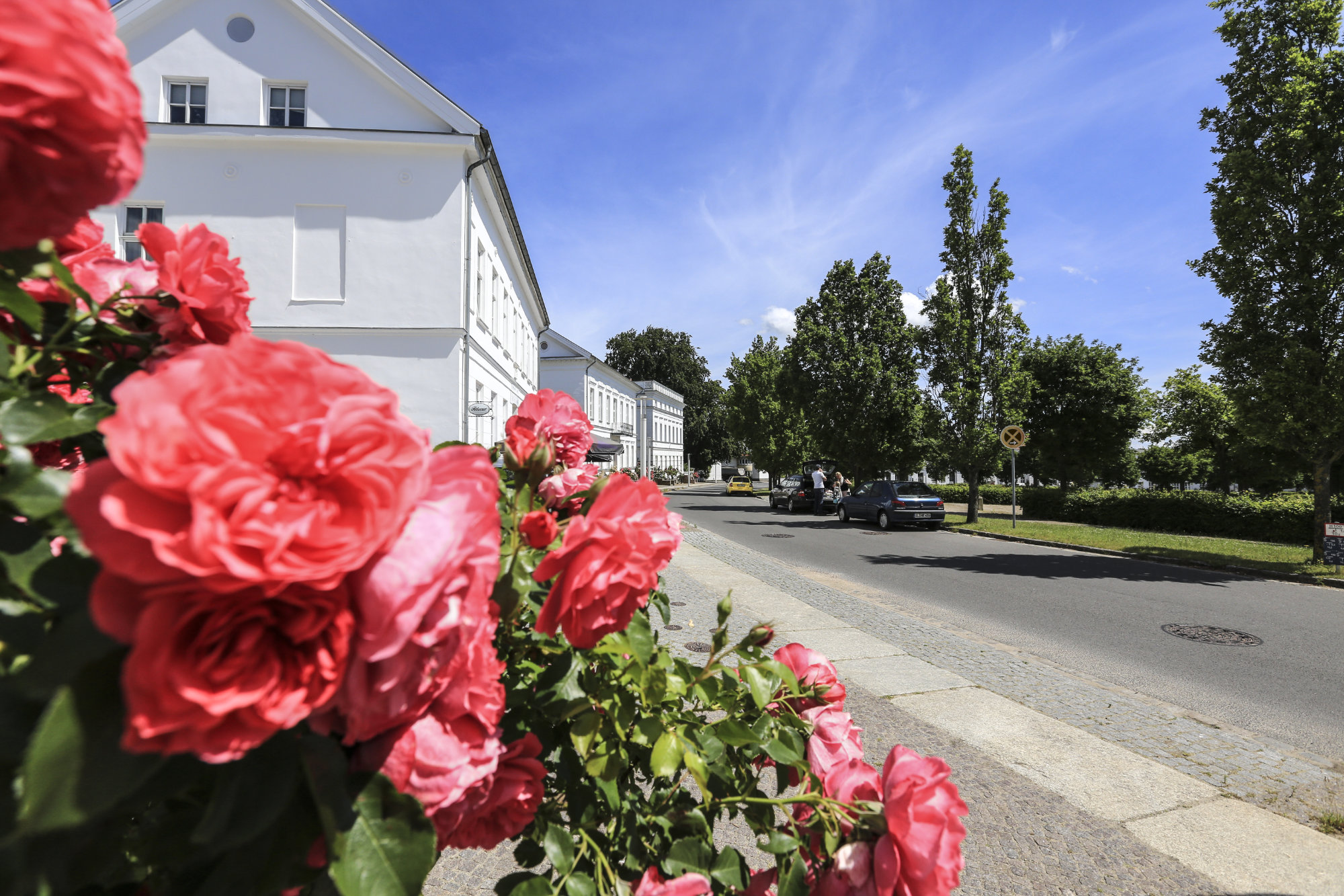 Erkunde die zauberhafte Rosenstadt Putbus auf Rügen